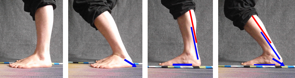 Ankle Mobility: Why is it important? - Symmetry Physical Therapy Miami ...